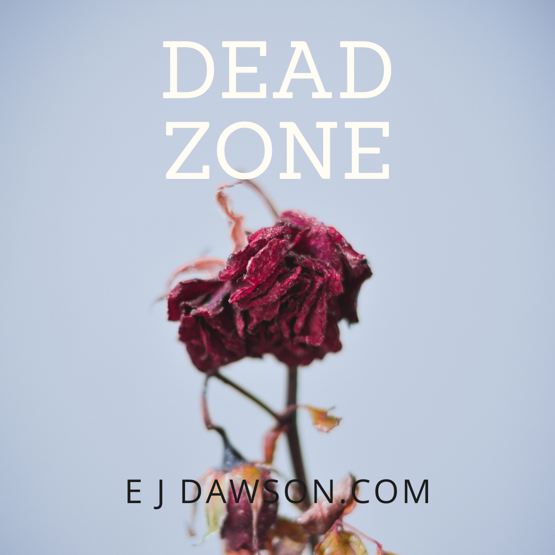 Dead zone – E. J. Dawson